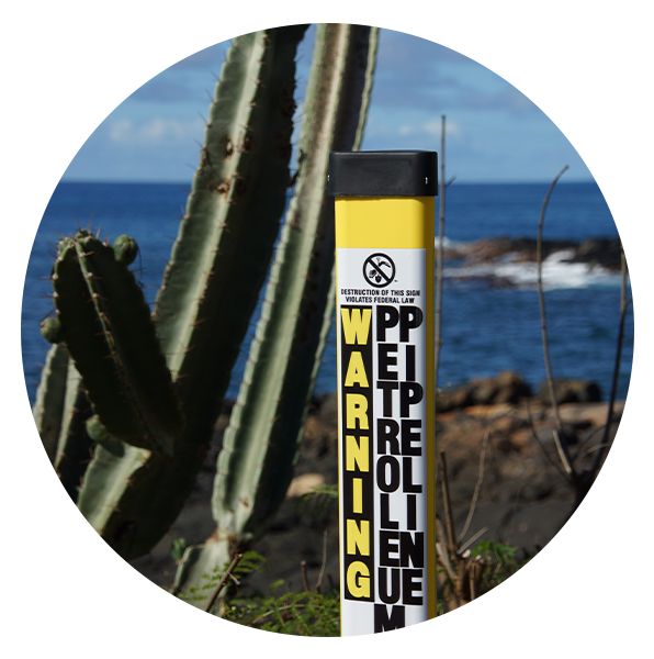 Safety Signs & Posts - Tapex Industrial