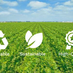 The Importance of Using Underground Warning Tapes and Mesh - Tapex Industrial